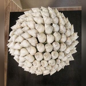 Art | Handmade Decorative Shall Ball Made Of White Snails Shells 6 In ...